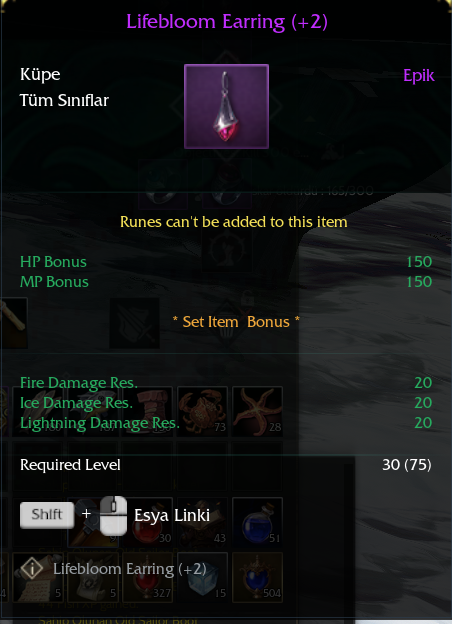 LİFEBLOOM SET +2 ( pendant +0 ) - Klasgame.com
