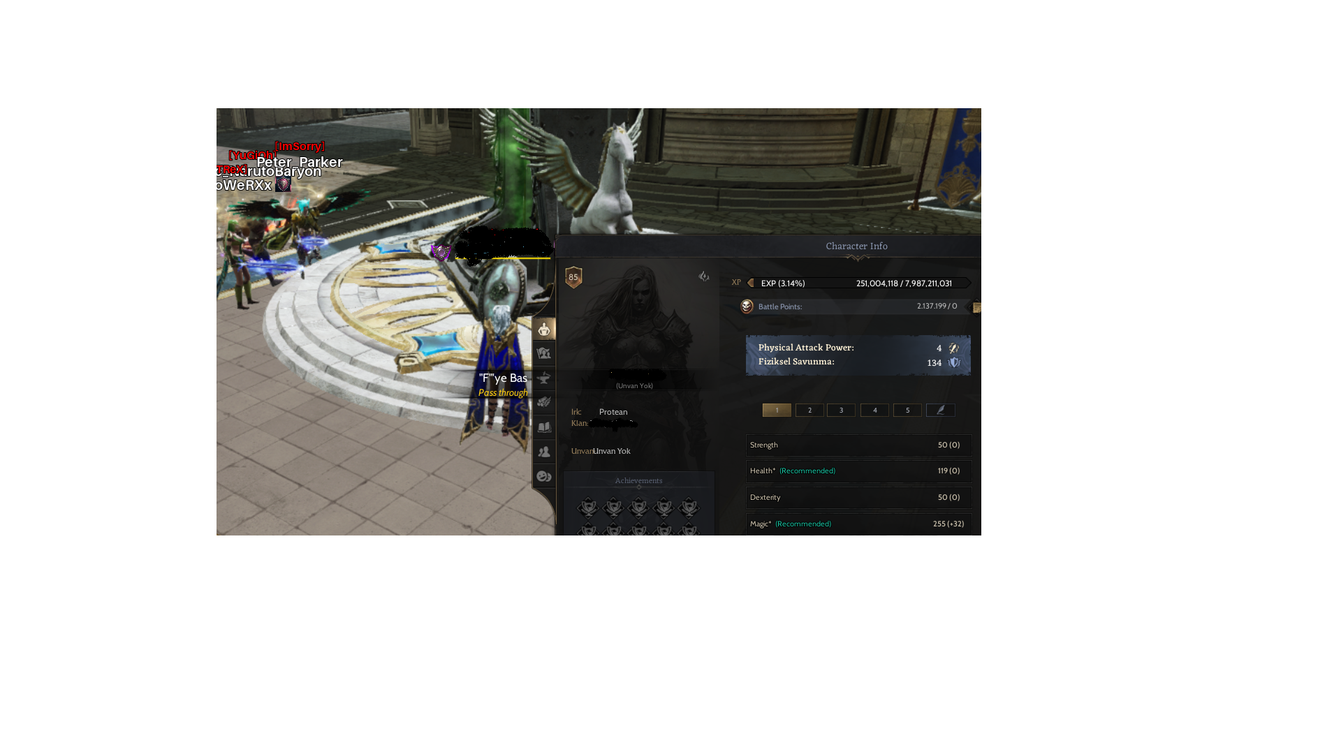 SOL BP SEMBOLLÜ 85 LEVEL MAGE - Klasgame.com