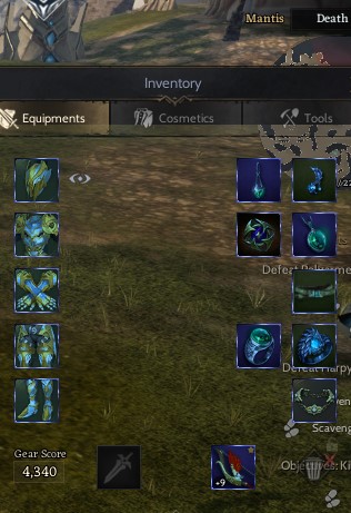 +9 Vixen / +7 Rogue Radiant Set / Blue Dragon Ring+Earring / Elven Belt ...
