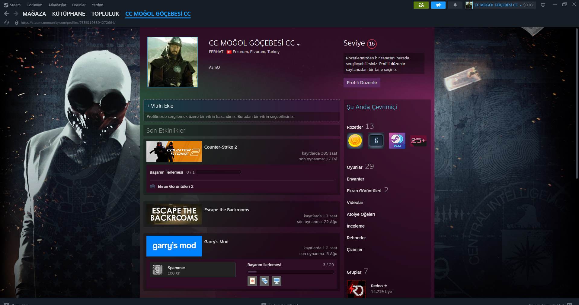 Acil para için değerinden düşük steam hesabı. Dosta gider Pazarlık ...