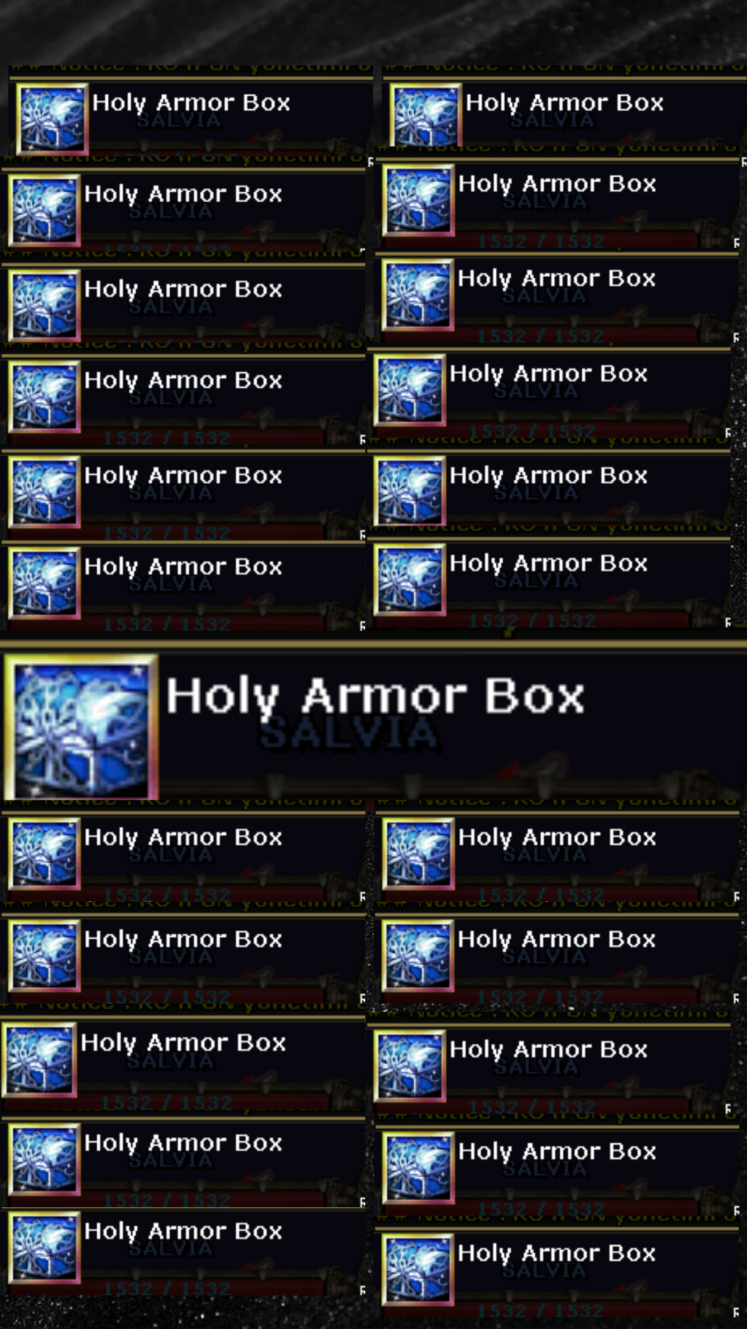 1000x HOLY ARMOR BOX - Klasgame.com