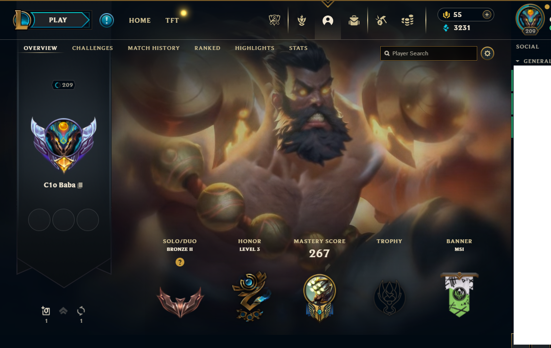 24 SKİNS 1 KNİFE 209 LV LOL 92 COSTUM TR HESABI MAİLLİ MAİNLİK HESAP ...